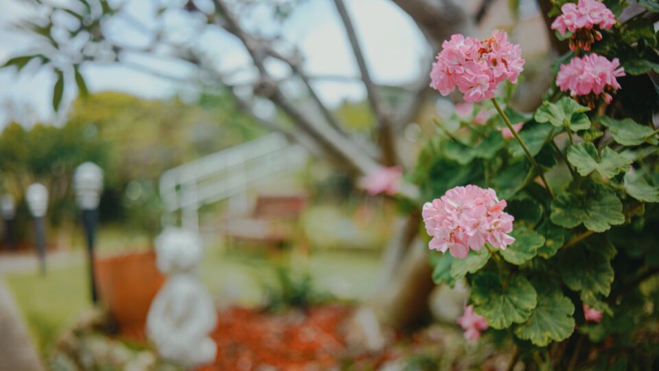 Princess Gardens Rose Bay - Mosaic Living Retirement Village